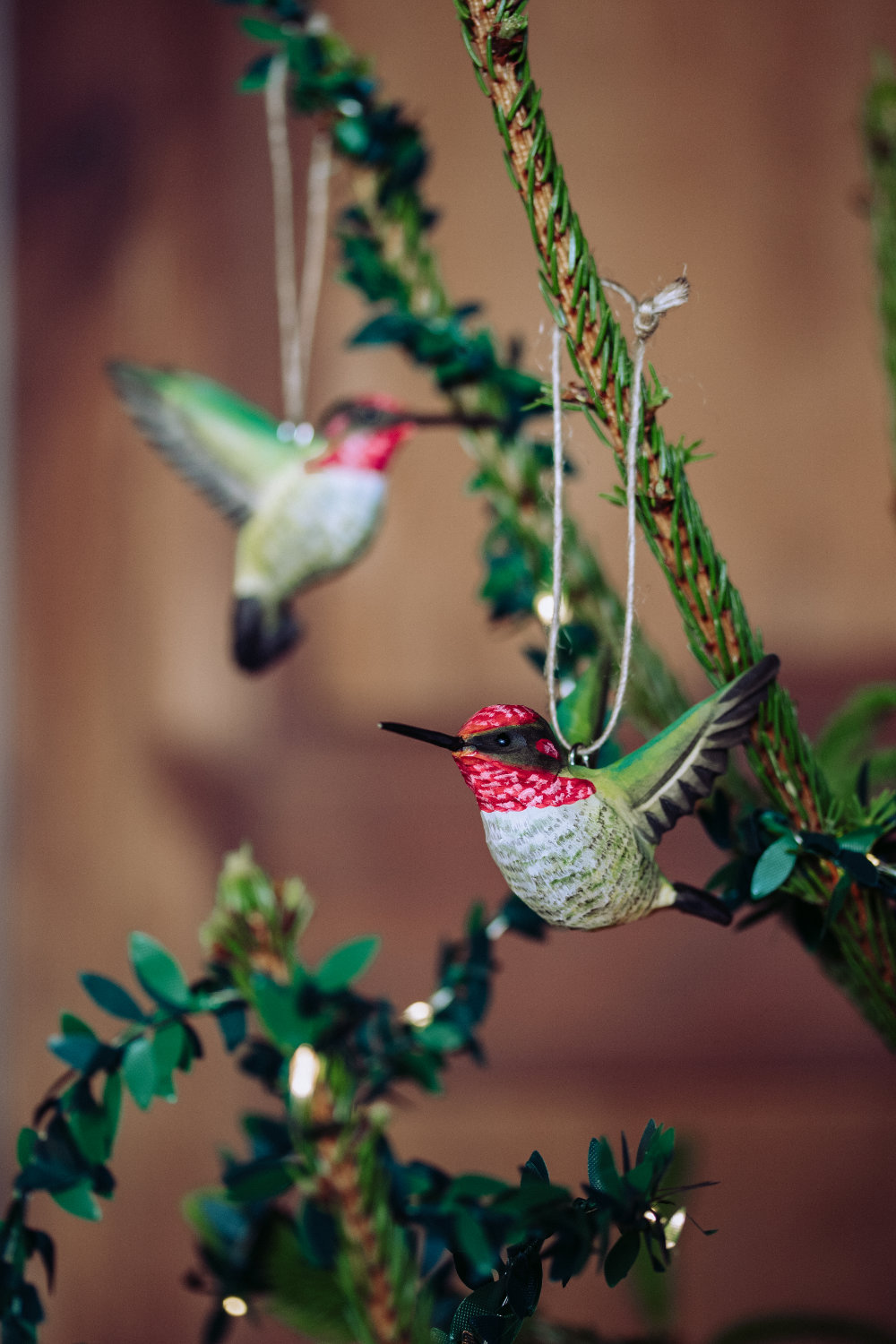 Dekovogel Annakolibri von Wildlife Garden - erkmann