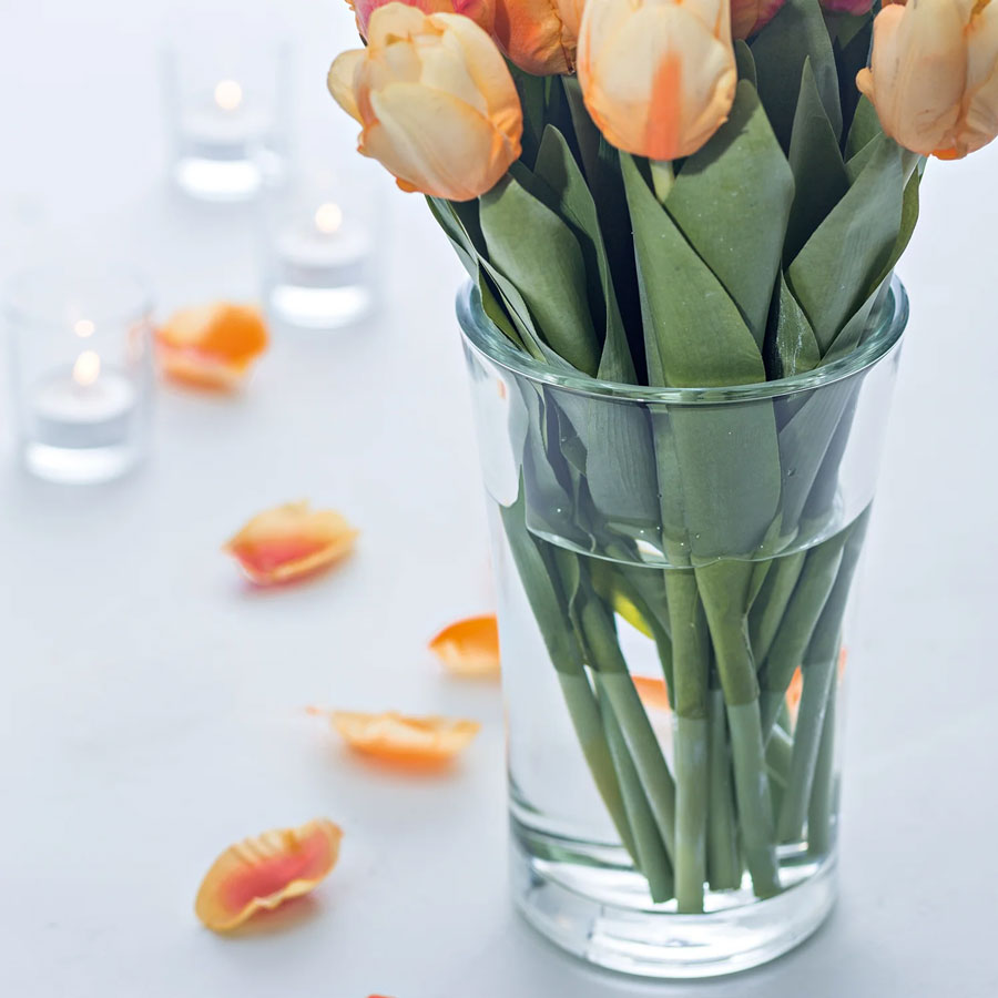Leonardo Vase Bloom Glas (22cm)