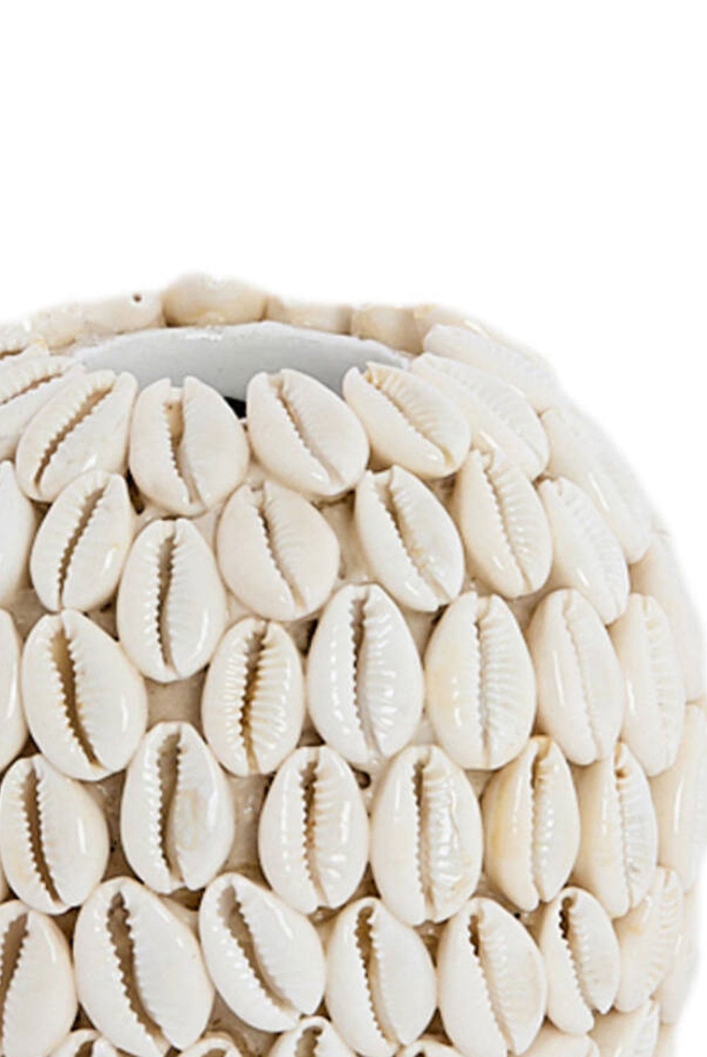 Light & Living Vase Shell Muscheln Cream (11,5cm)