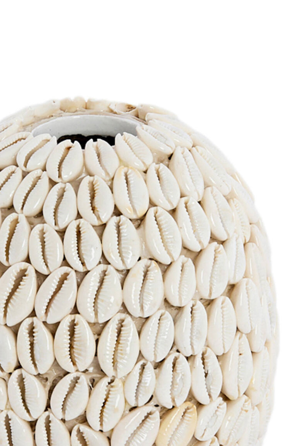 Light & Living Vase Shell Muscheln Cream (17cm)
