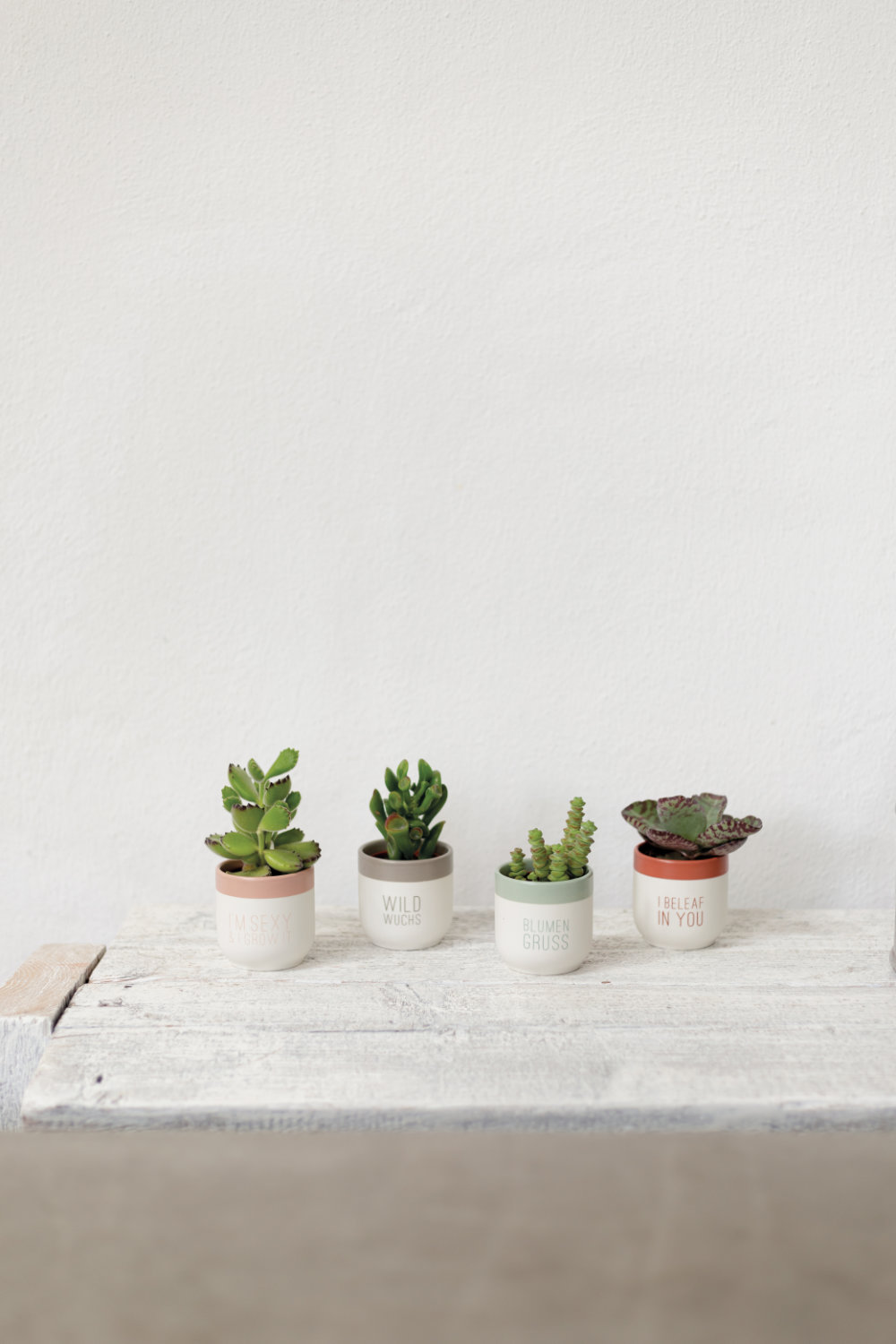 Übertopf Blumige Grüße von Räder Design - erkmann