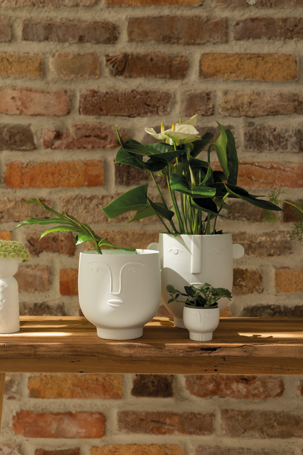 Vase Übertopf Naturgestalten von Räder Design - erkmann