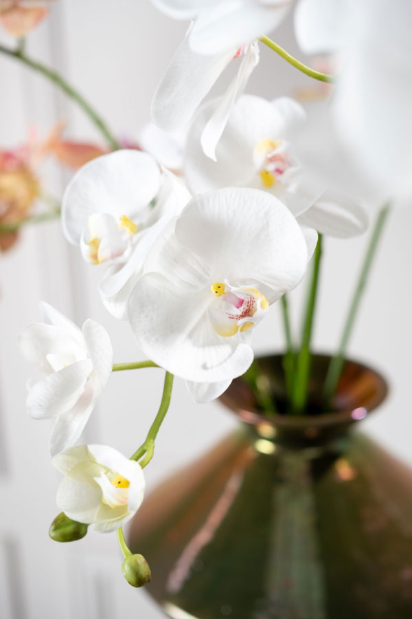 Silk-ka Seidenblume Orchidee Phalaenopsis Weiß (110cm) --> erkmann.de ...