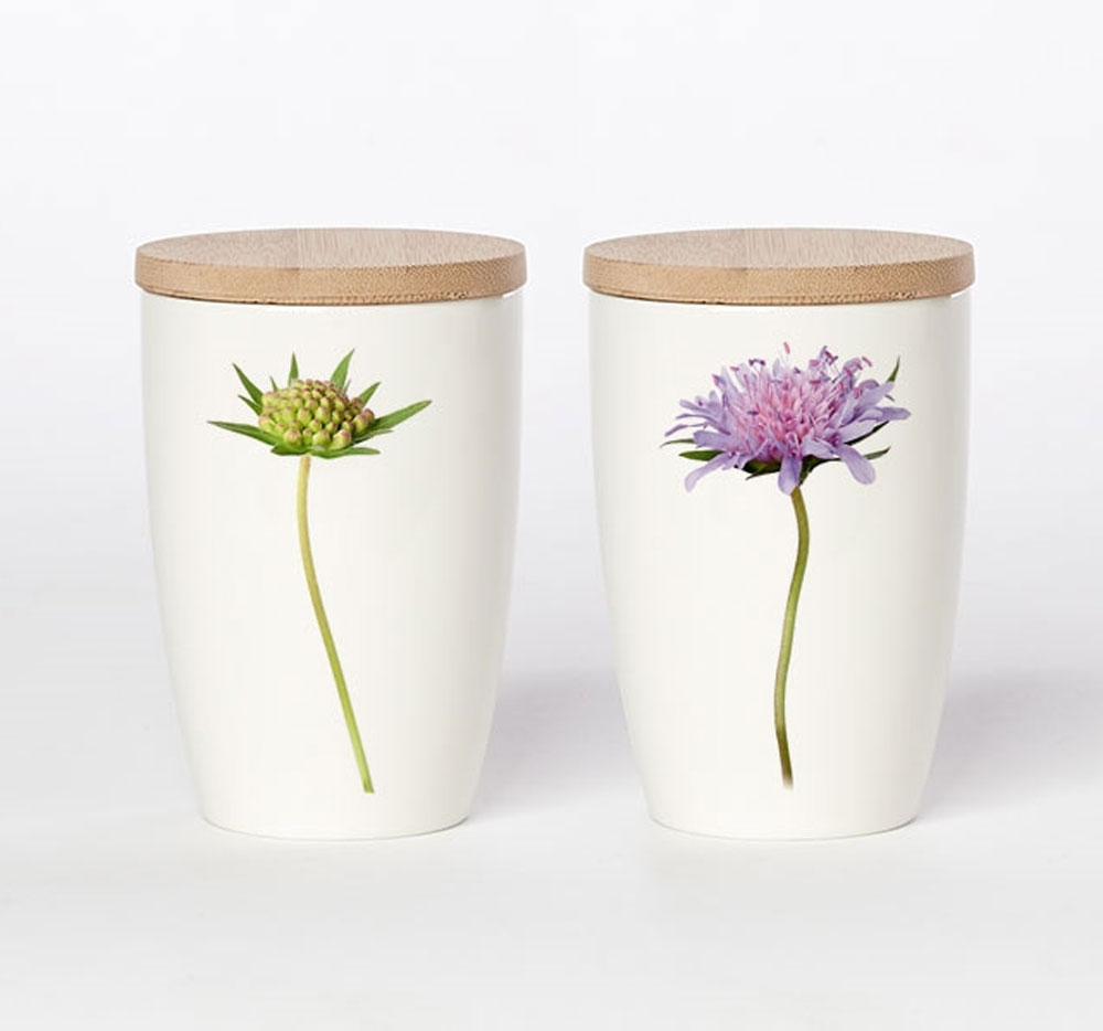Tasse Acker Witwenblume (Klein) von Simply Flowers - er