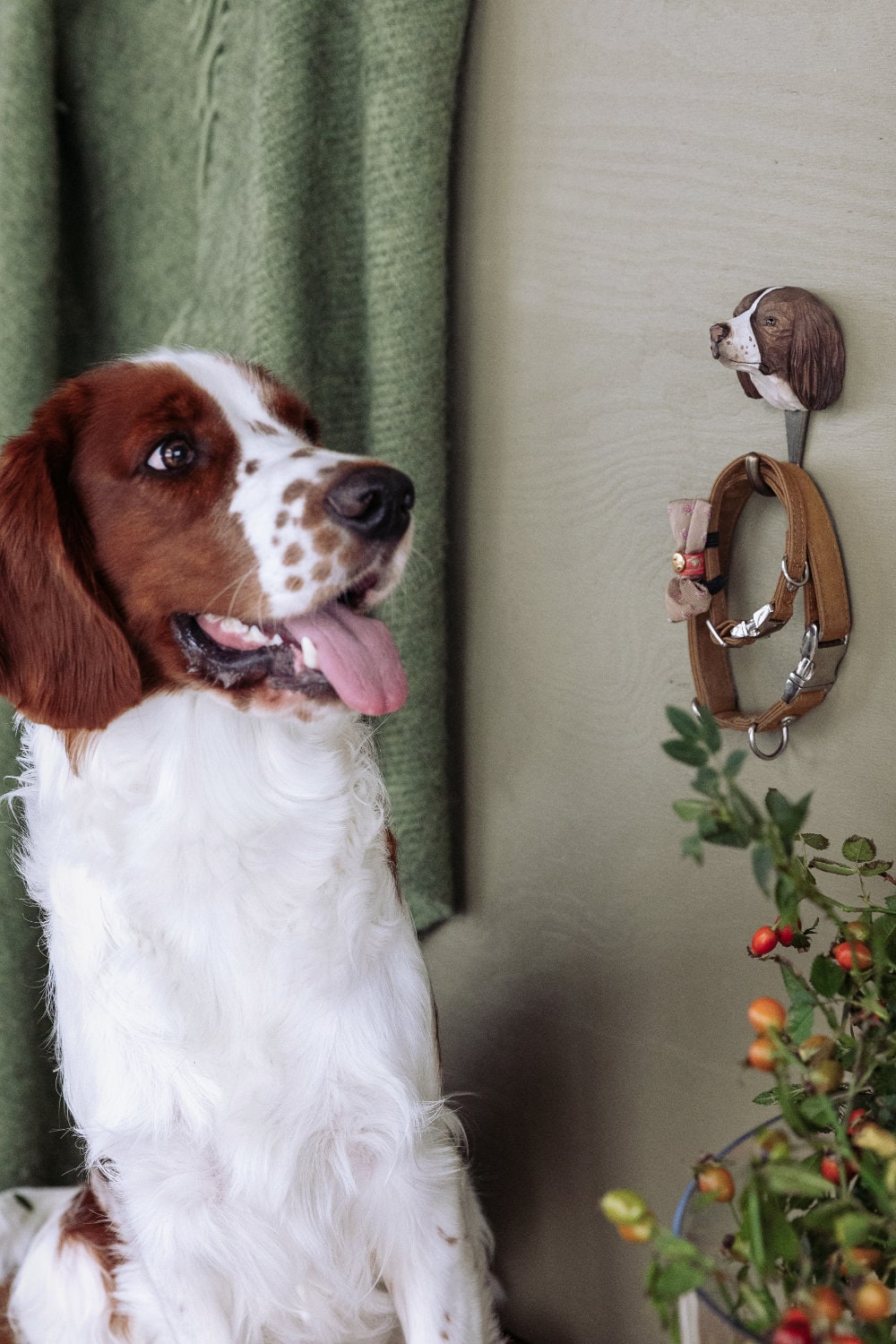 Kleiderhaken DecoHook Springer Spaniel Wildlife Garden